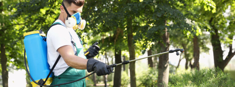 Pest Removal | Southern Pest Control | Affordable | Effective | Friendly