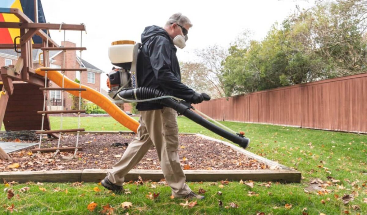 Mosquito Control | Southern Pest Control